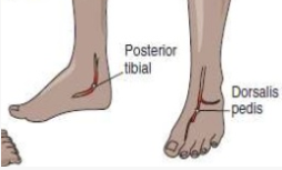 WellSpan Logo for CC.bmp